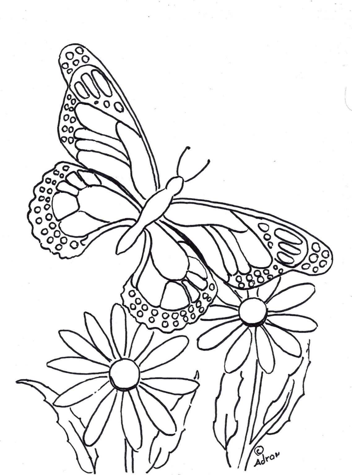 Free Printable Butterfly Coloring Pages - Free Printable Coloring Pages